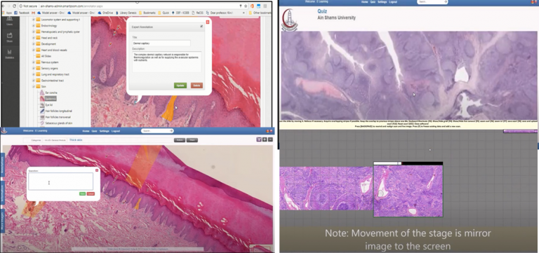 About Page – ASU2Learn | eLearning